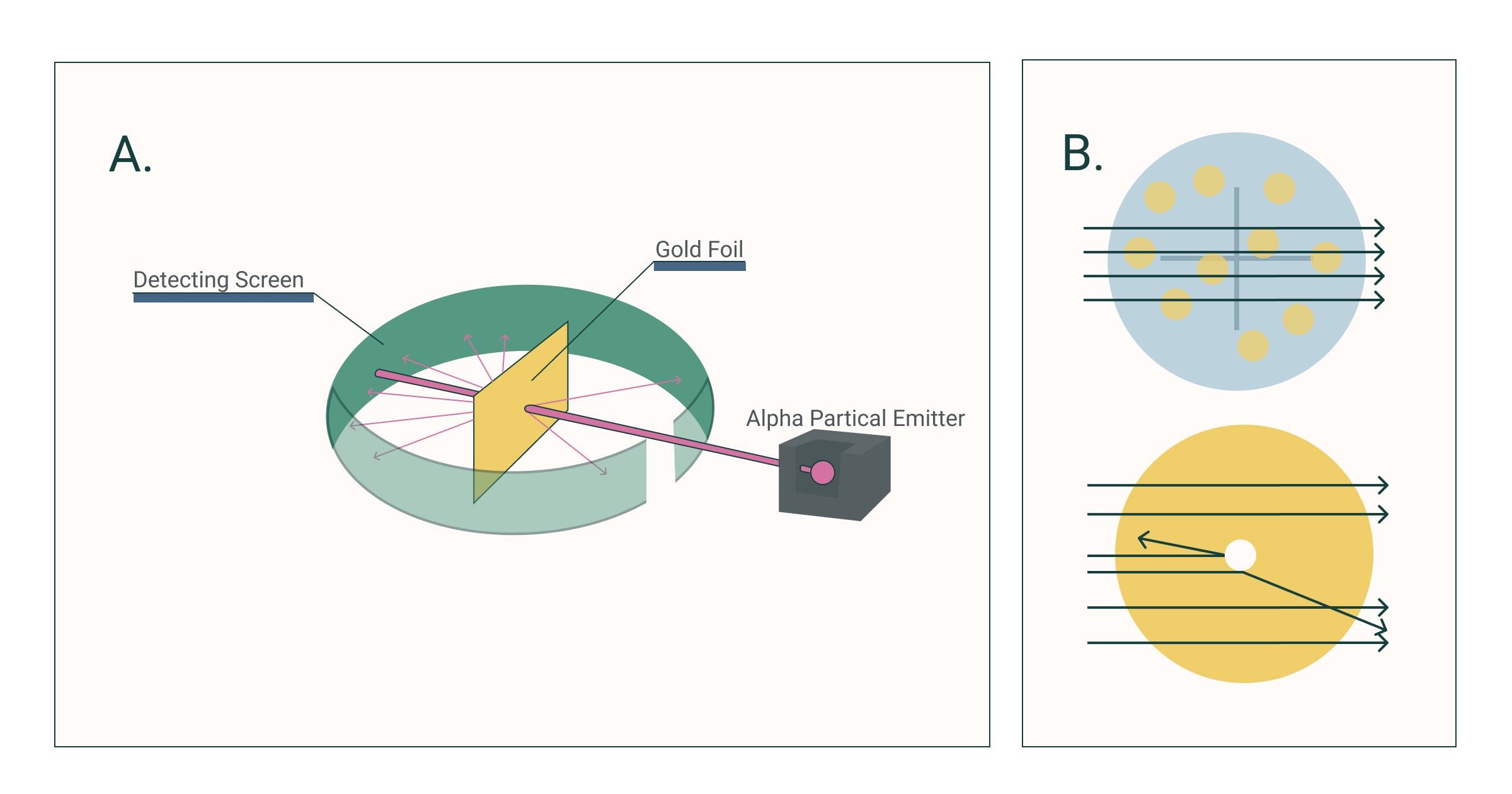 The History Of The Atomic Model Rutherford And Bohr